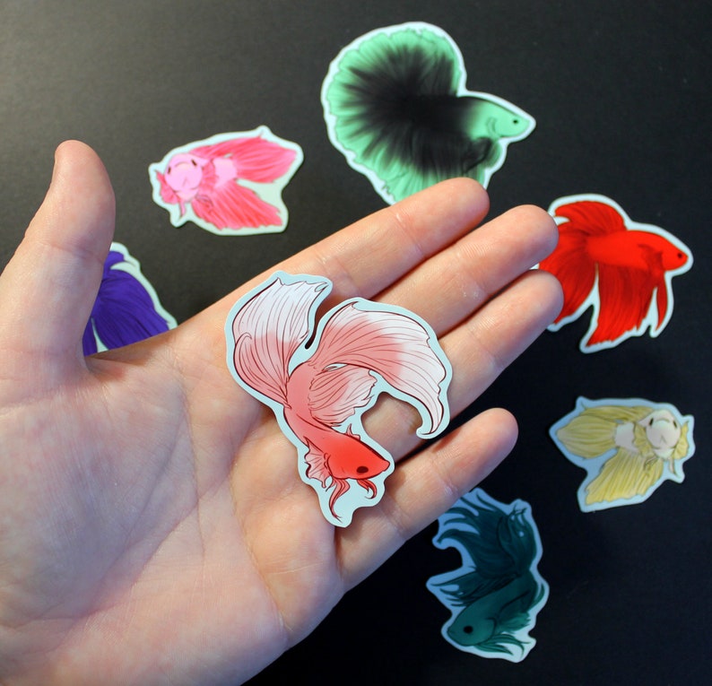 Waterproof Betta Fish Stickers - Etsy