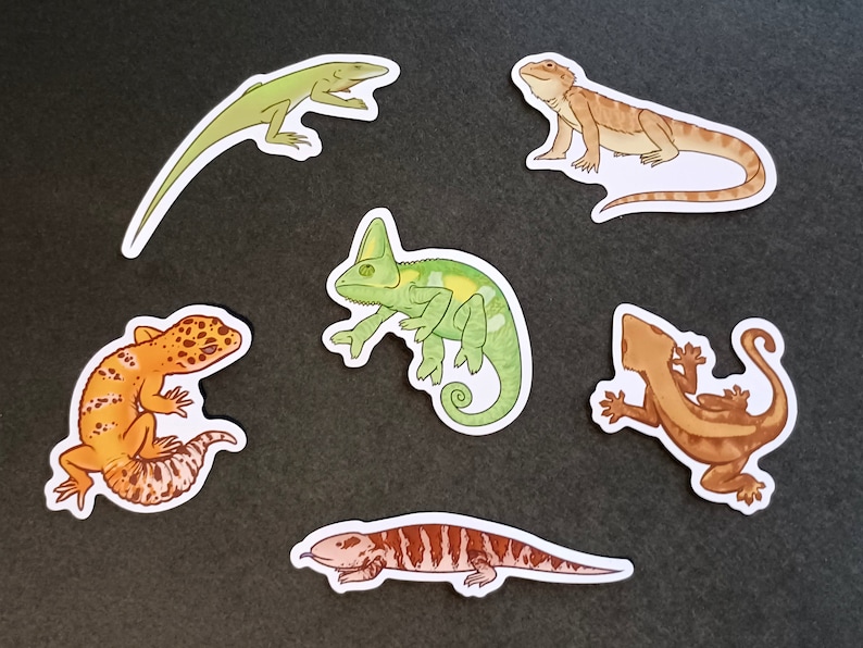 Lizard Stickers - Etsy
