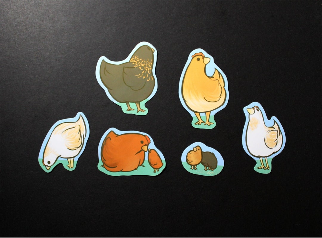 Waterproof Chicken Sticker Pack - Etsy