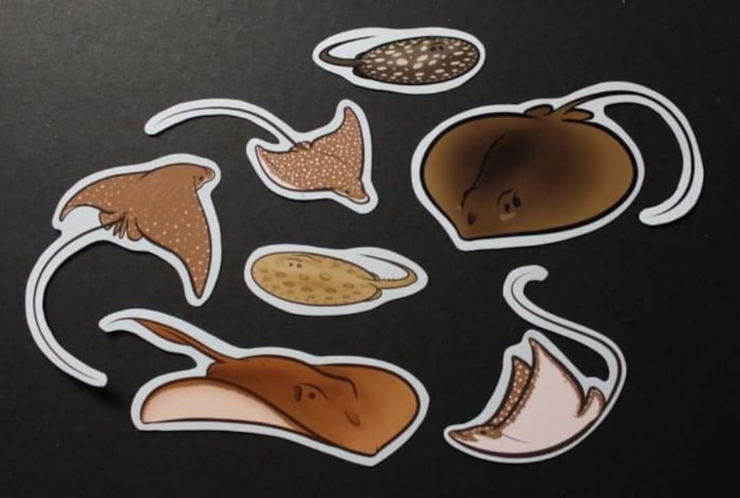 Waterproof Stingray Sticker Set - Etsy