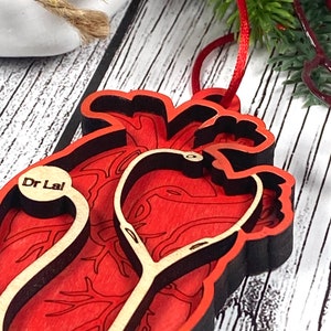 Anatomical Heart Christmas Ornaments - Cardiology -cardiologist ...