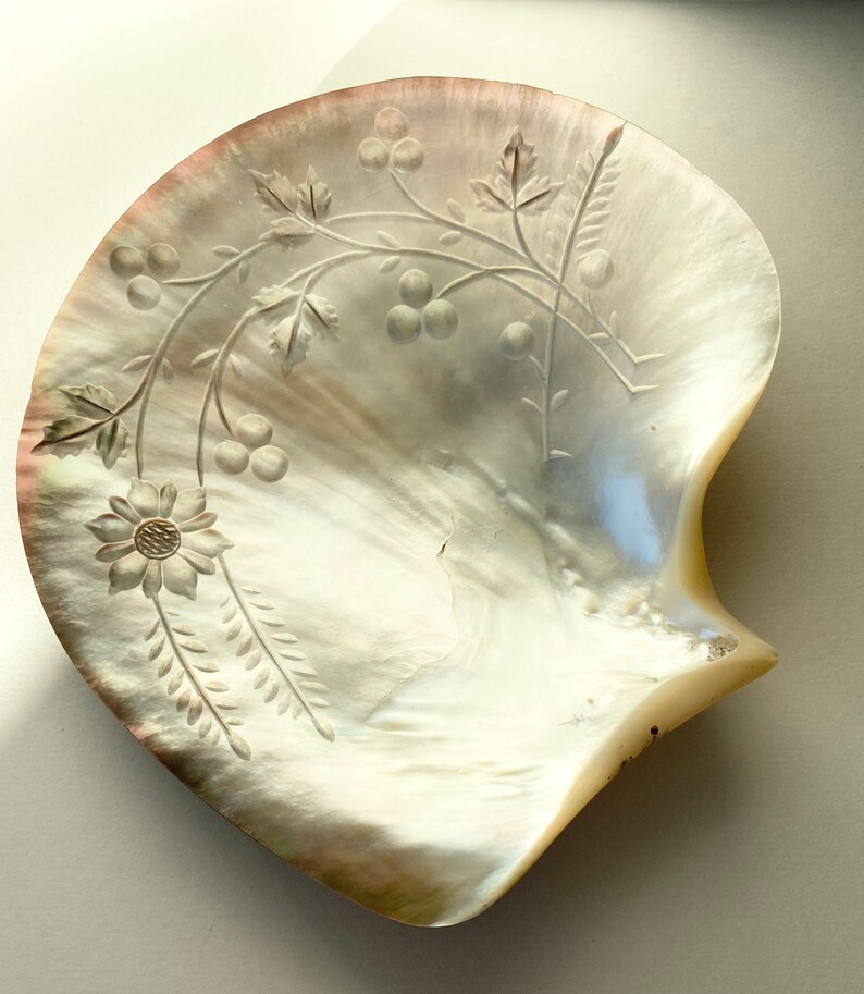 Antique Engraved Mother of Pearl Shell Vintage Decorative - Etsy