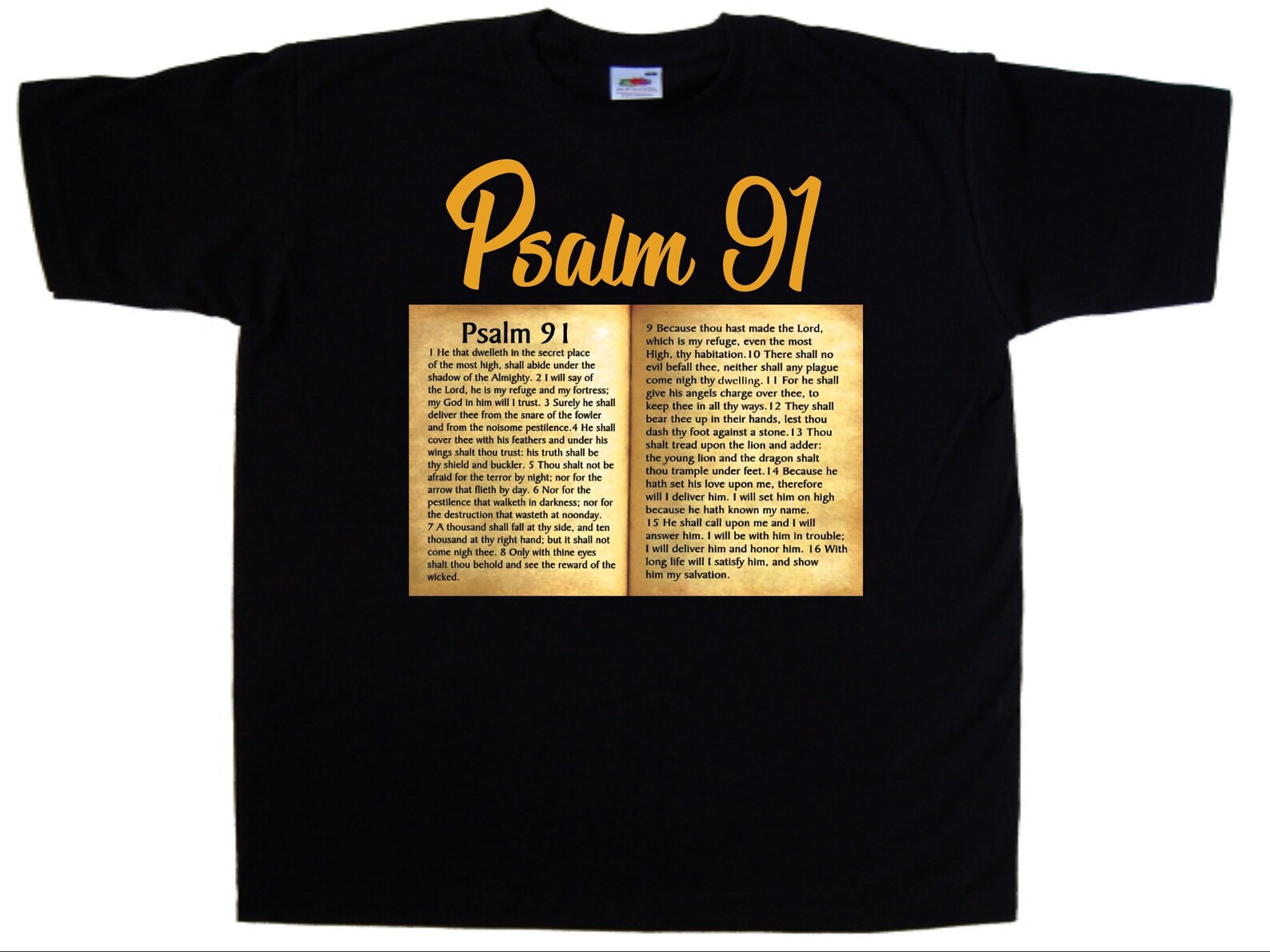 Psalm 91 Shirt Bible Verse Shirt He Will Cover You With His Feathers ...