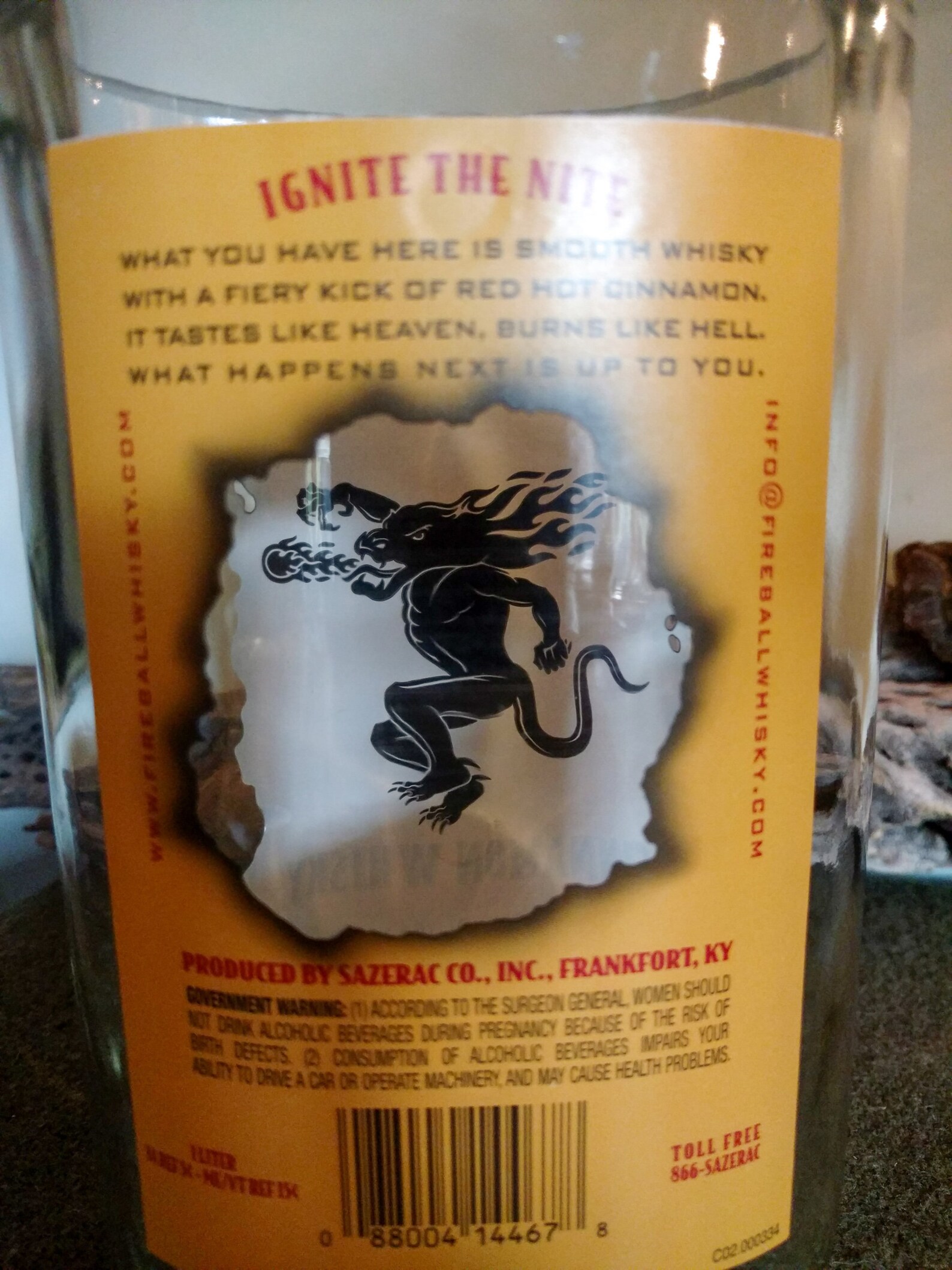 Upcycled Fireball Liquor Bottle Vase Oval Shape Clear Glass | Etsy