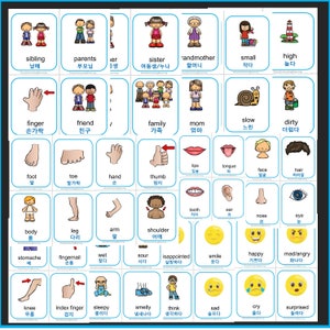 English/korean Words Flashcards 1 - Etsy