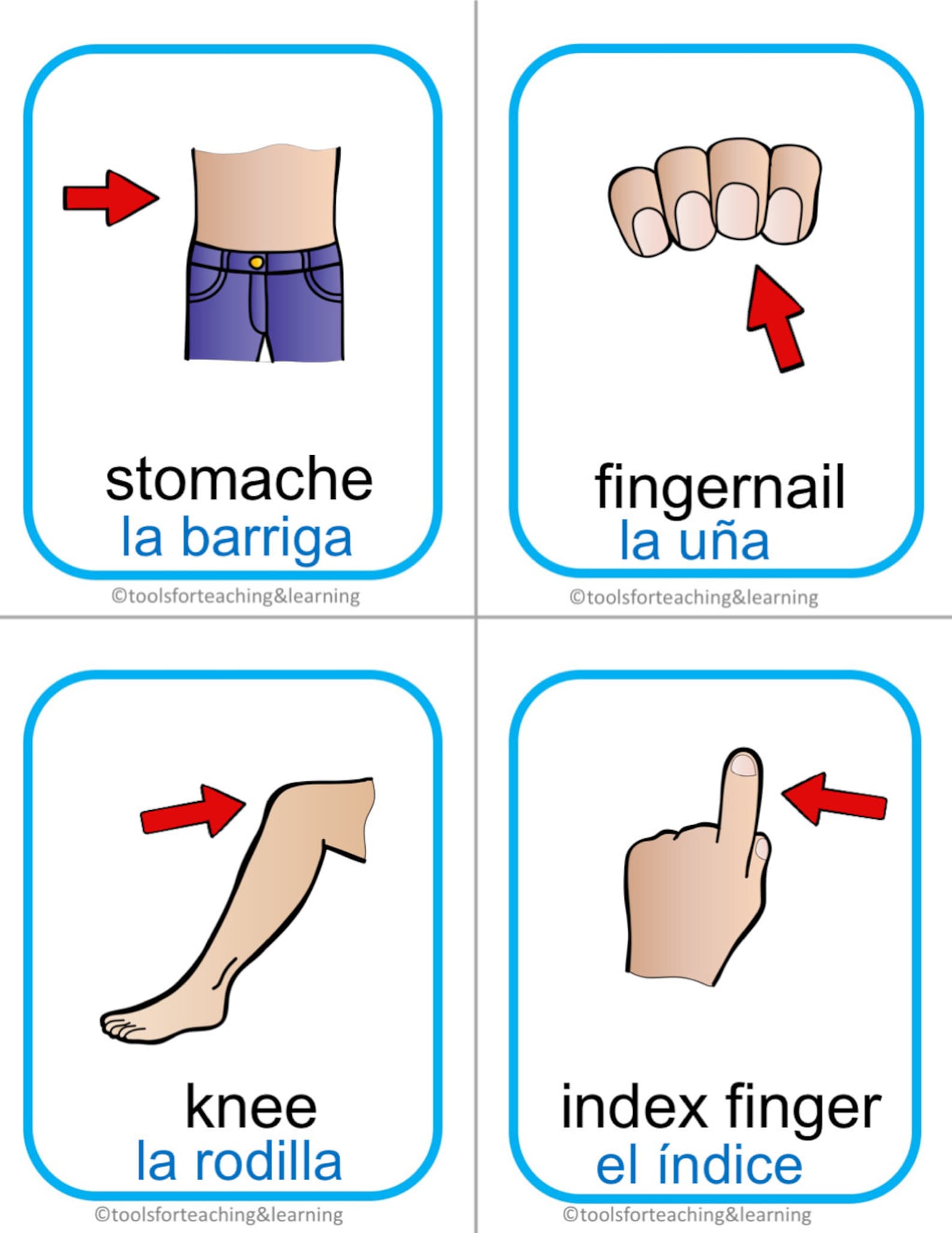 English/spanish Words Flashcards 1 - Etsy