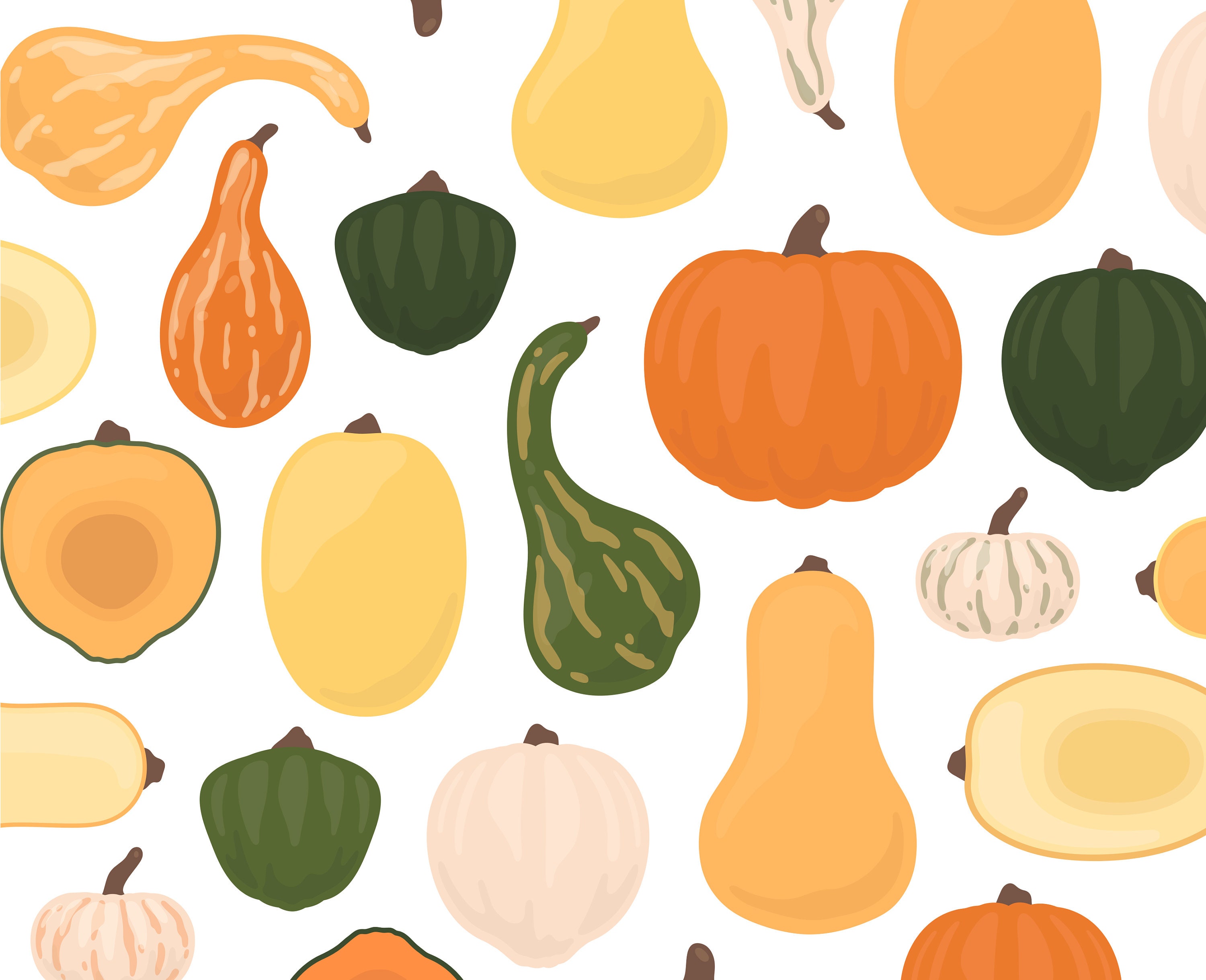 Squash Clipart