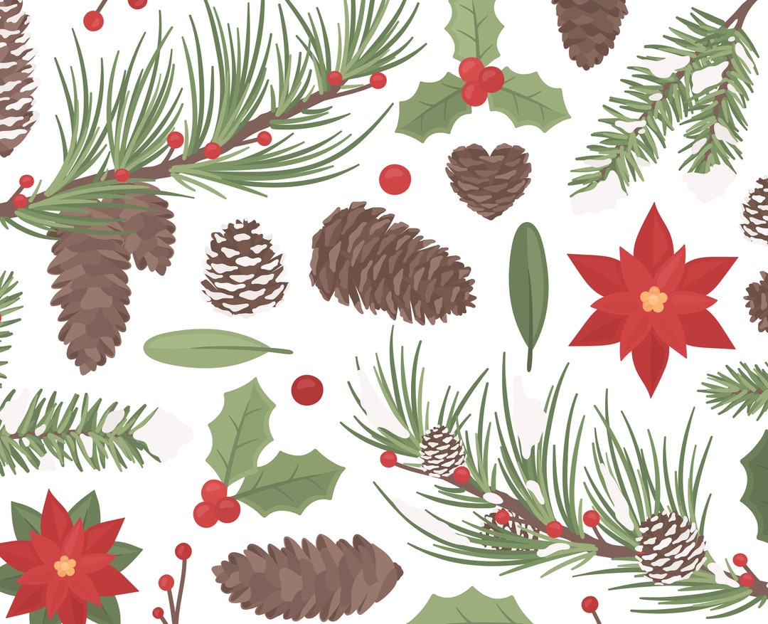Christmas Pine Cone PNG Clipart, Poinsettia Illustrations (digital ...