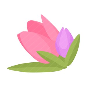 Tulip Clipart - SVG, PNG, EPS Images - Spring Flower Bulb Tulips ...