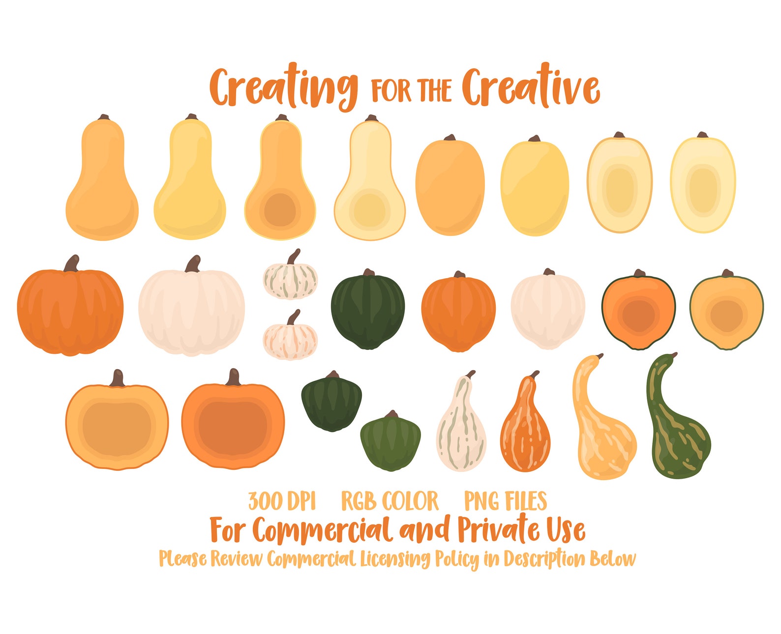 Autumn Squash Clipart Fall Pumpkin Clip Art Acorn Squash - Etsy
