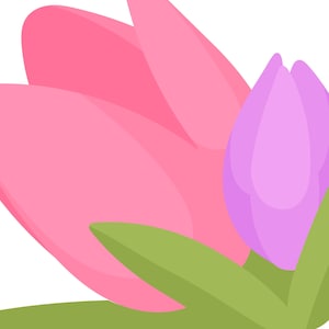 Tulip Clipart - SVG, PNG, EPS Images - Spring Flower Bulb Tulips ...