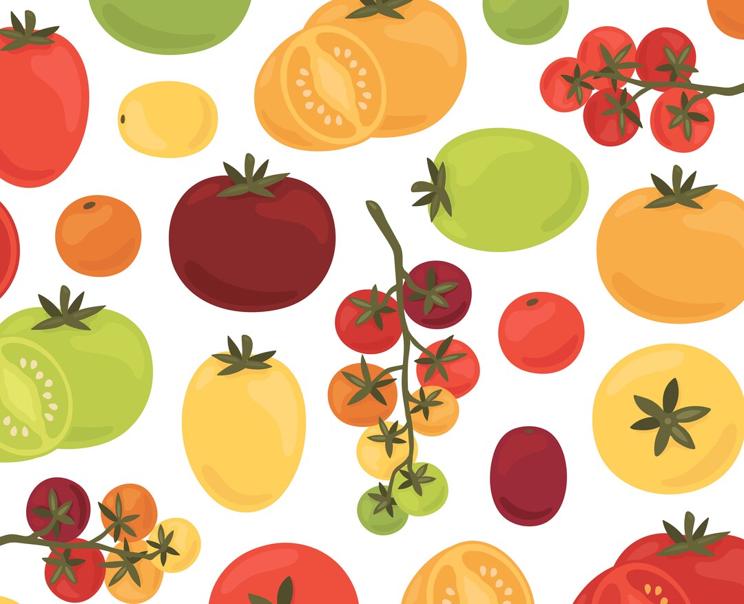 Tomato PNG Clipart Fruit Vegetable Harvest Autumn Garden Clip Art ...