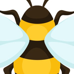 Honey Bee Clipart - SVG, PNG, EPS Images - Beehive Bee Keeping ...
