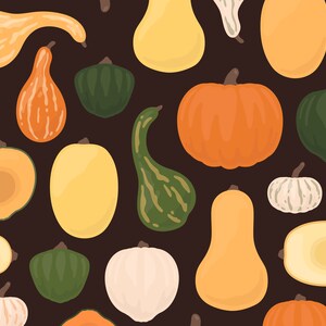 Autumn Squash Clipart Fall Pumpkin Clip Art Acorn Squash | Etsy