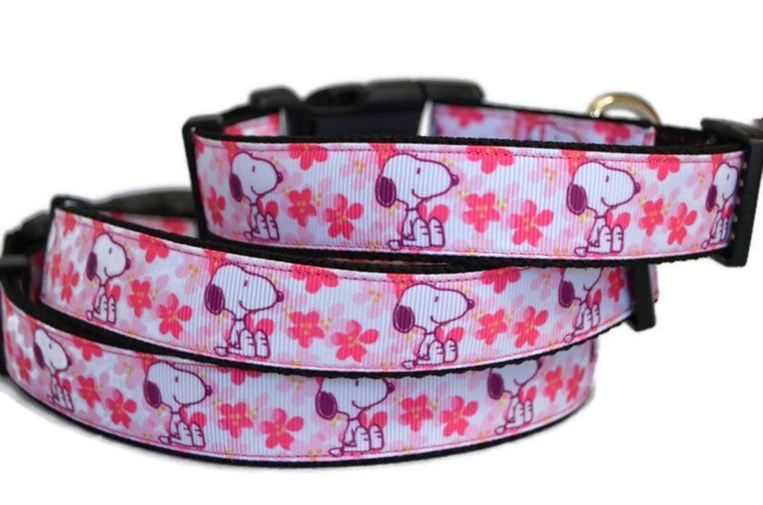 Summer Beagle Dog Collar - Etsy