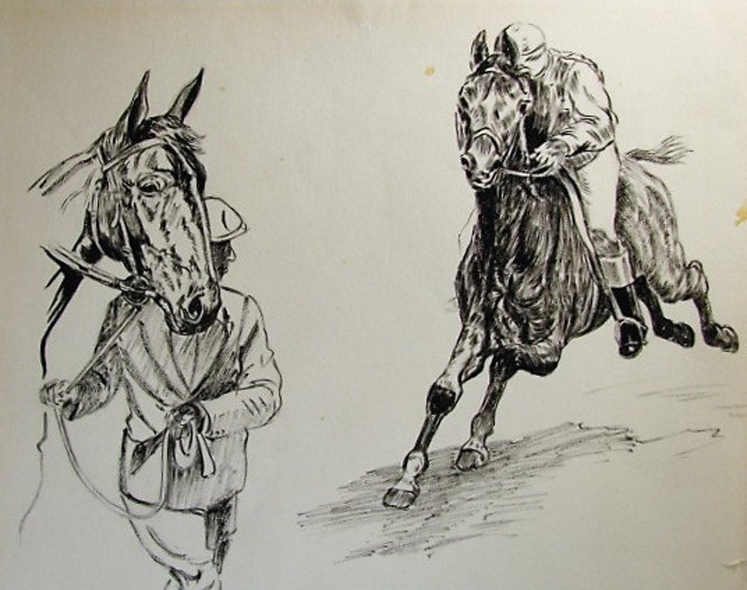 Large Ink Drawing Horses, Gladys Emerson Cook Attribution, Race Horse ...