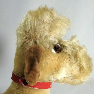 Snobby Poodle by Steiff, Jointed Figure With Glass Eyes, 1950s - Etsy