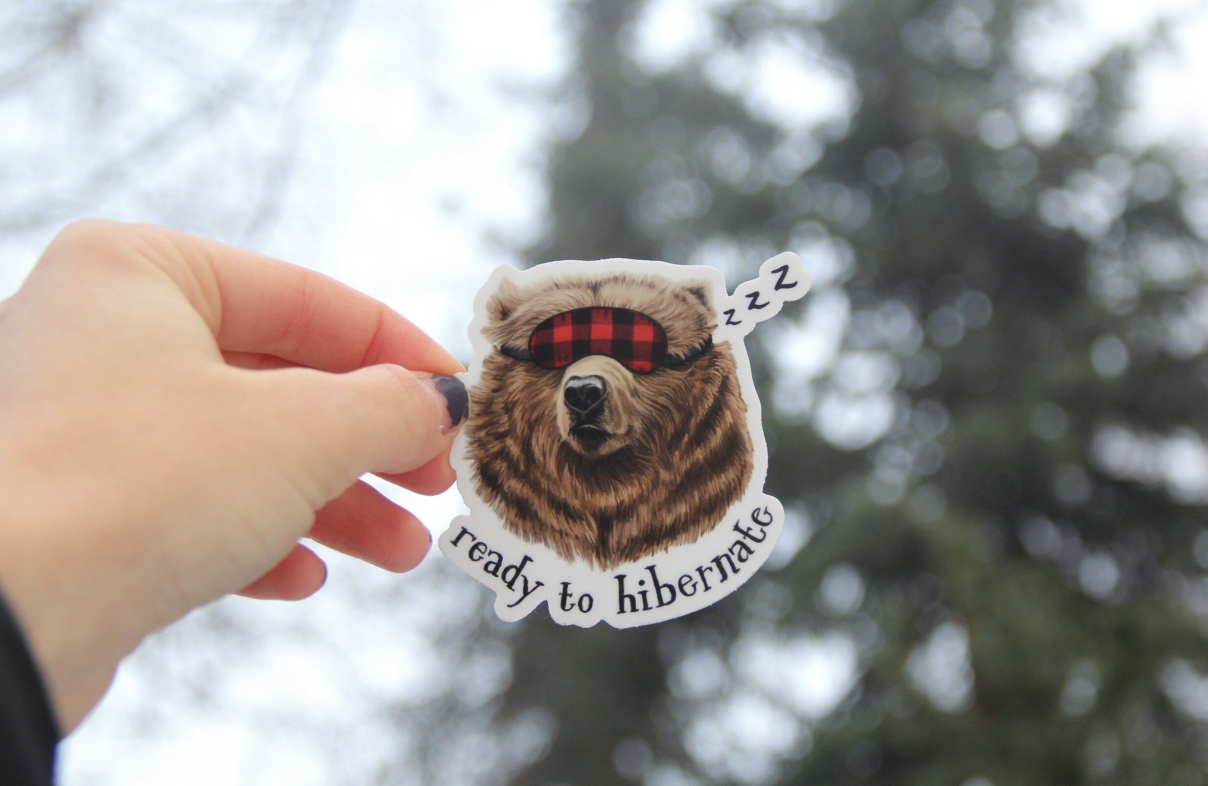 Ready to Hibernate 3" Sticker - Etsy