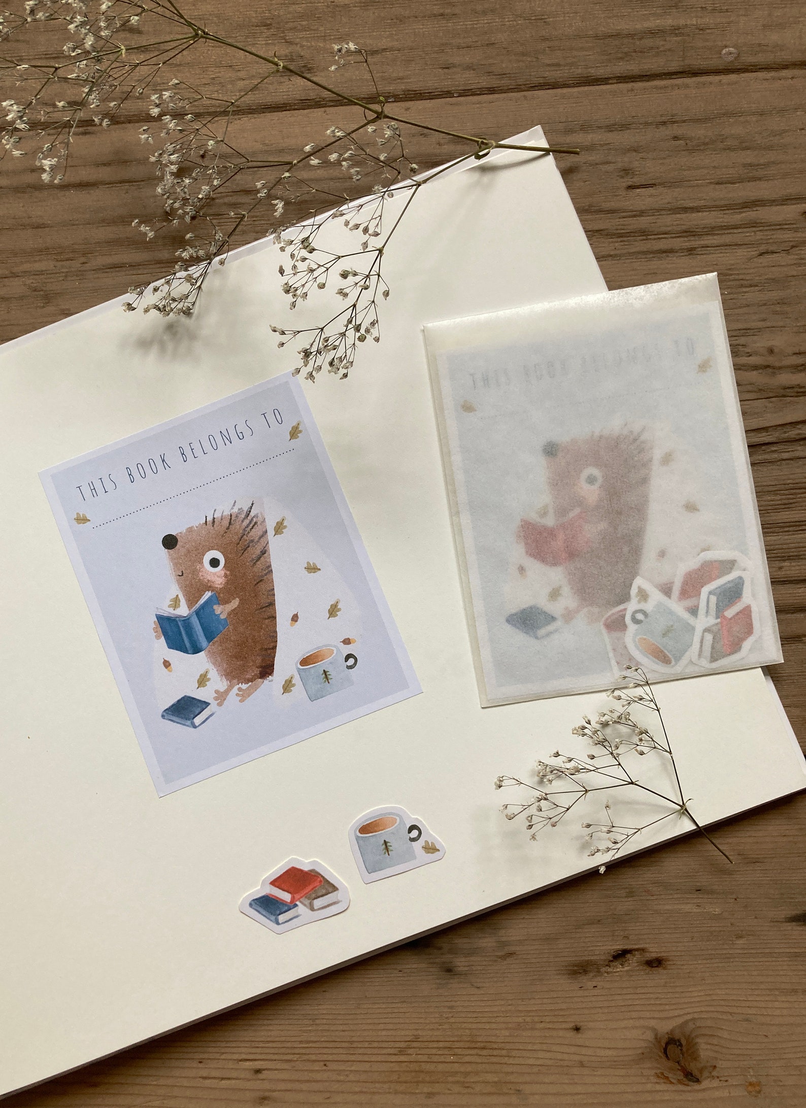 This Book Belongs To Sticker Name Stickers x 2 Book Name | Etsy