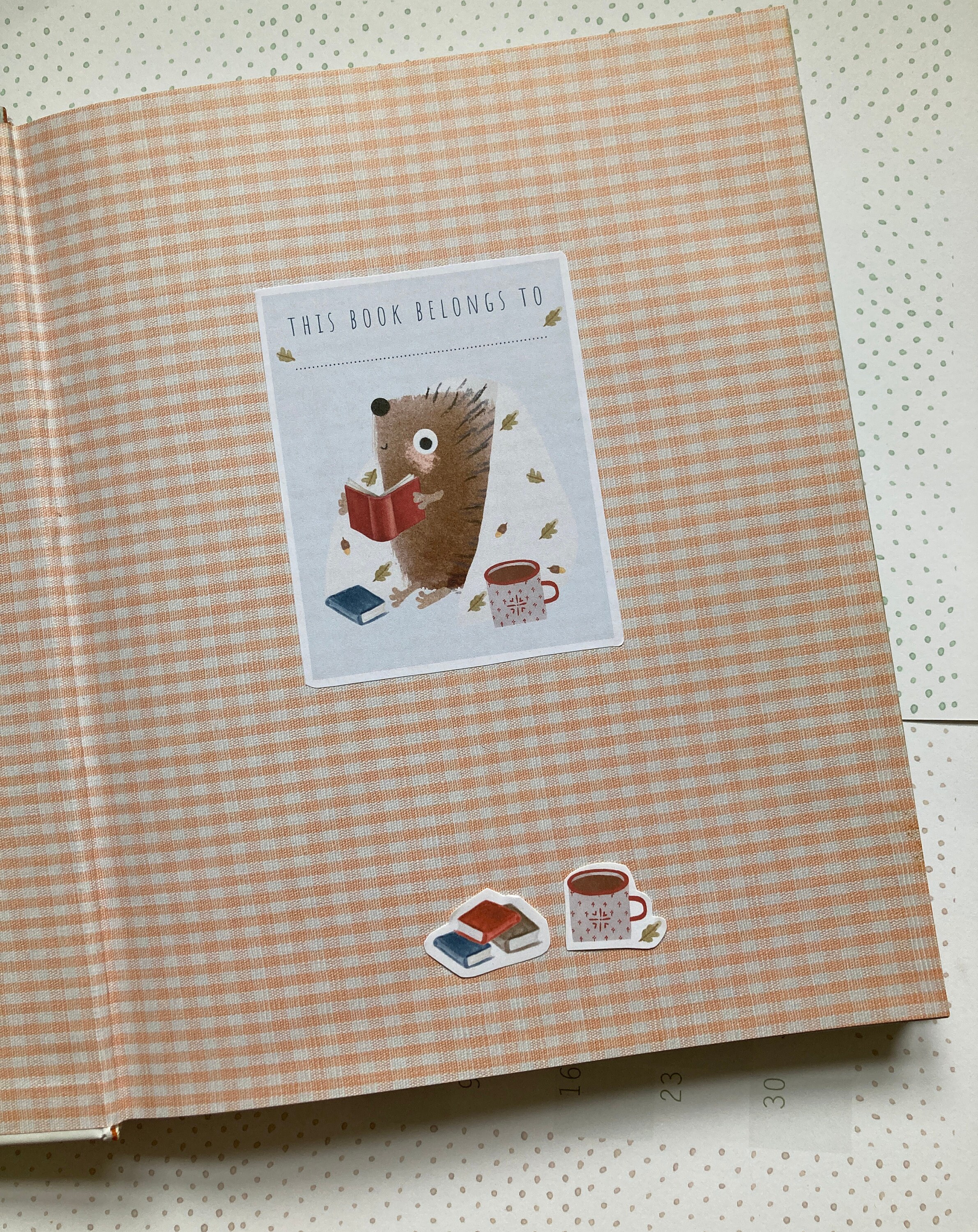 This Book Belongs To Sticker Name Stickers x 2 Book Name | Etsy