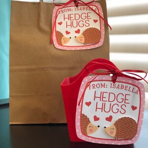 Hedgehog Valentine Tags or Cards 6, 12 or 20 Pack - Etsy