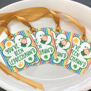 You’ve Been Leprechaun’d St. Patrick’s Day Gift Tags - 6, 12 or 20 Pack ...