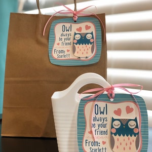 Owl Valentine Tags or Cards 6, 12 or 20 Pack - Etsy