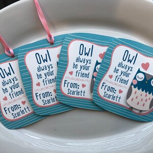 Owl Valentine Tags or Cards 6, 12 or 20 Pack - Etsy