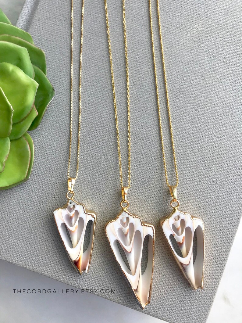 Real Shell Necklace Conch Shell Necklace Seashell Necklace | Etsy