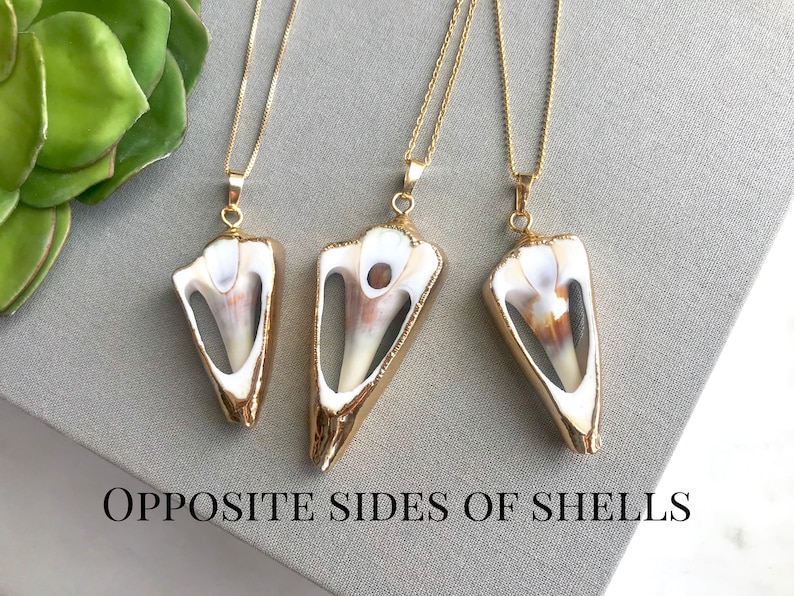 Real Shell Necklace Conch Shell Necklace Seashell Necklace | Etsy