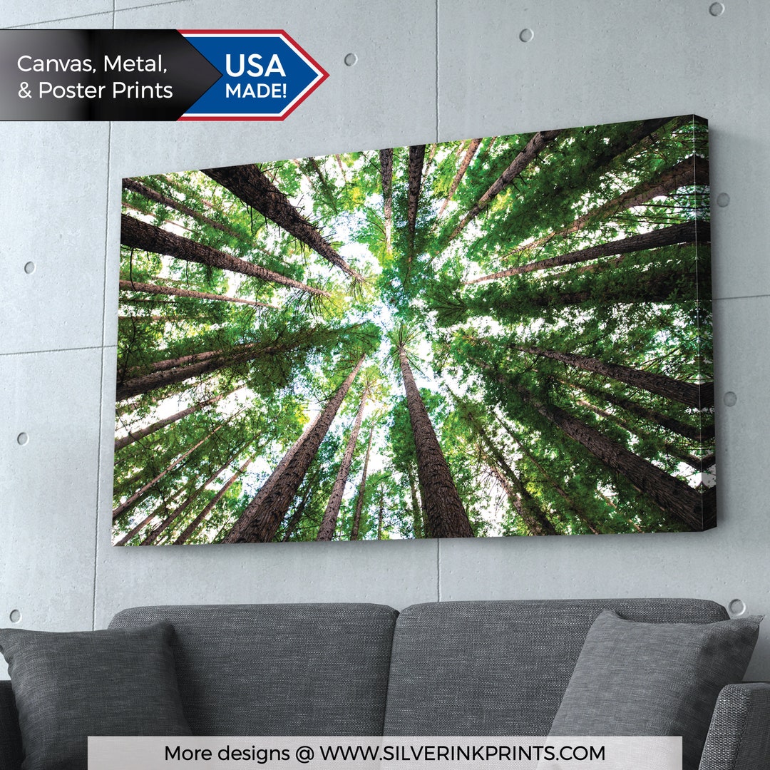 Forest Canopy Print: Nature Photography, Trees, Living Room Art - Etsy