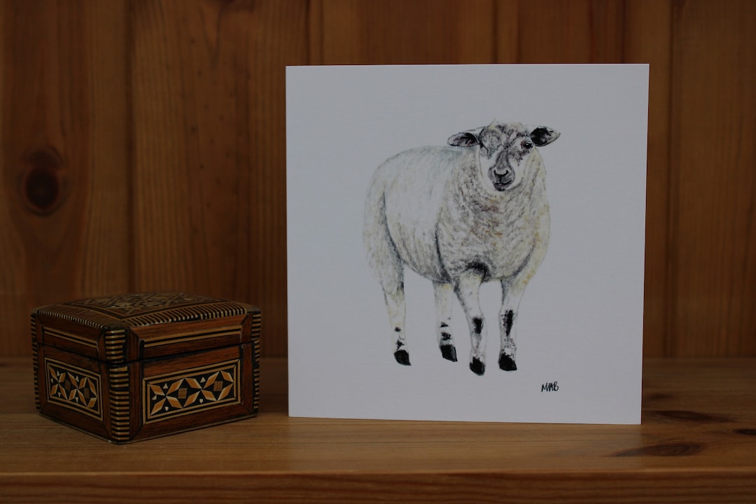 5 Sheep Greetings Cards Printed From Original Watercolour of Sheep ...