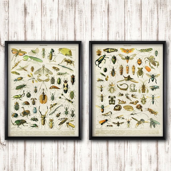 Vintage Science - Etsy