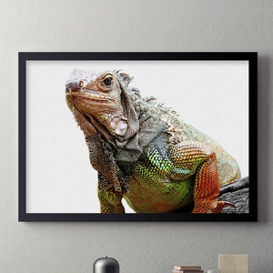 Digital Prints Download Iguana Print Instant Download Nursery - Etsy