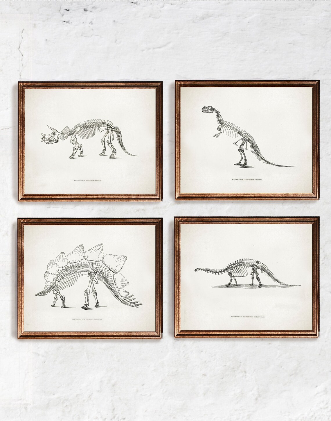 Dinosaur Print Set of 4 Paleontology Poster Extinct Animal - Etsy