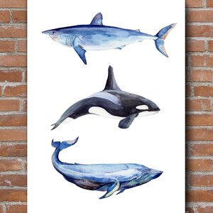 Sea Species Watercolor Poster, Shark Whale Nursery Wall Art Decor ...