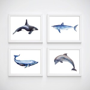 Watercolor Fish Species - Set of 4 Watercolor Illustrations, Nursery ...