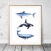 Sea Species Watercolor Poster, Shark Whale Nursery Wall Art Decor ...