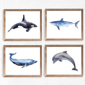 Watercolor Fish Species - Set of 4 Watercolor Illustrations, Nursery ...