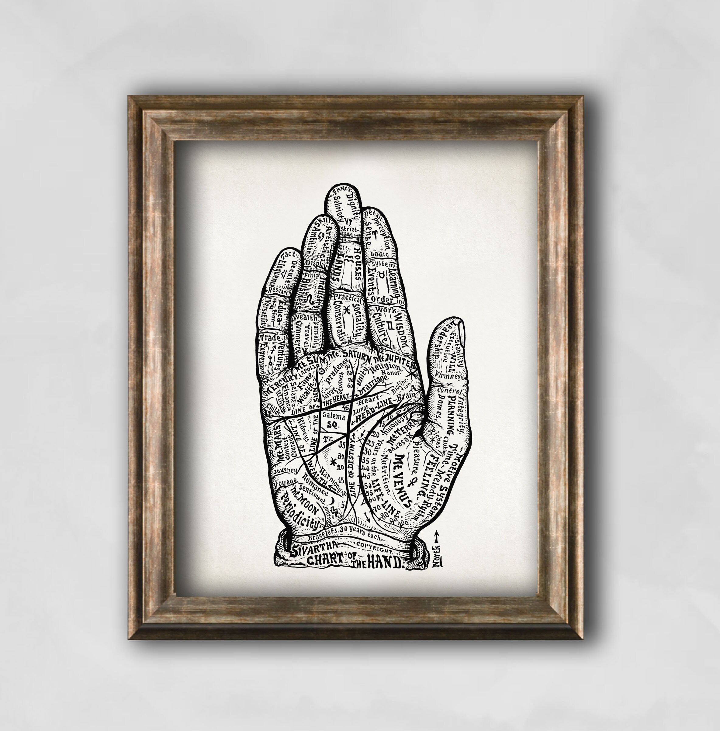 Palmistry Chart Art Print, Antique Hand Illustration, Esoteric Wall ...