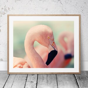 Flamingo Art Print Tropical Animal Poster Tropical Life Pink Flamingo ...