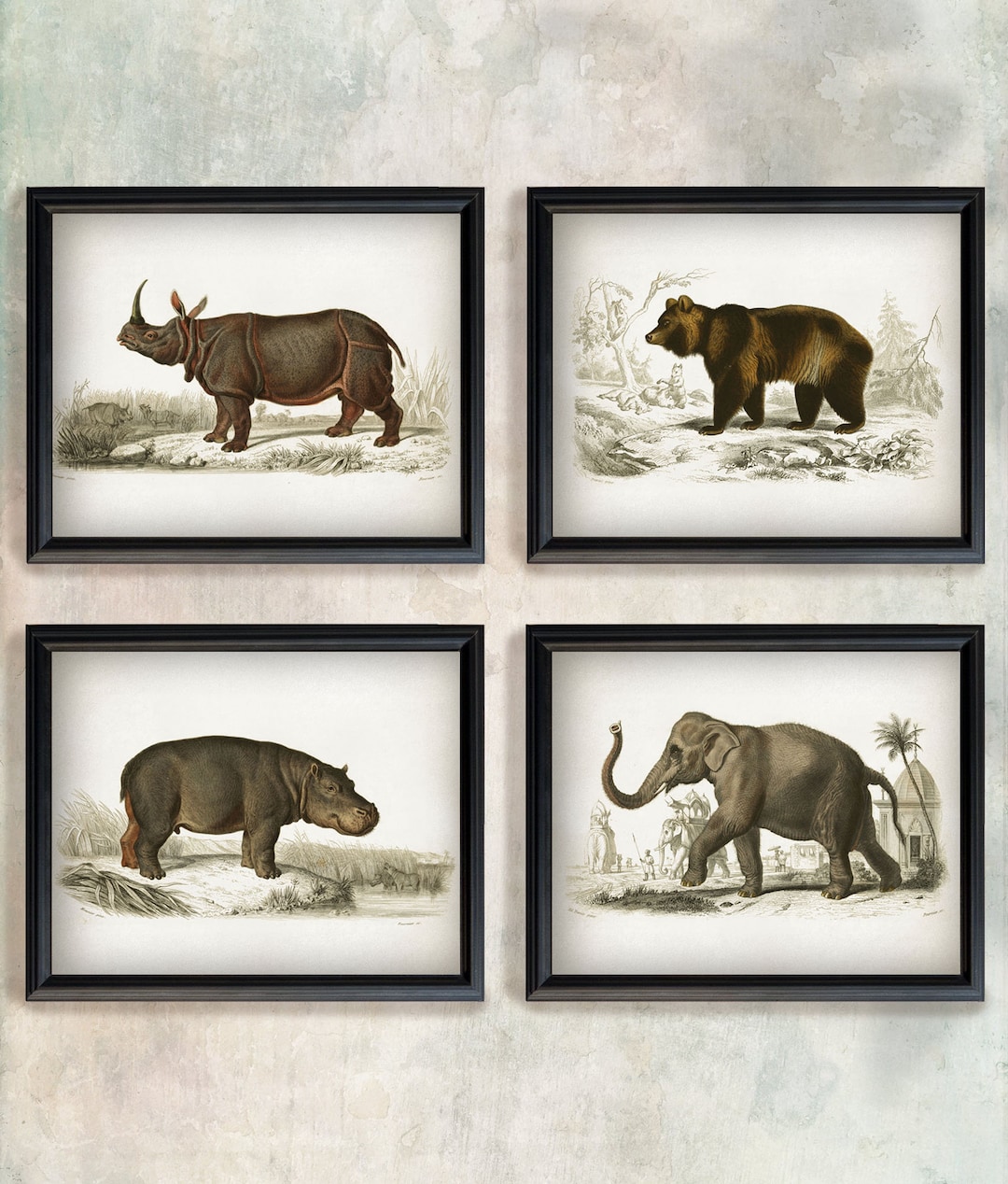 Zoology Print - Set of 4 Vintage Posters, Antique Animal Wall Art ...