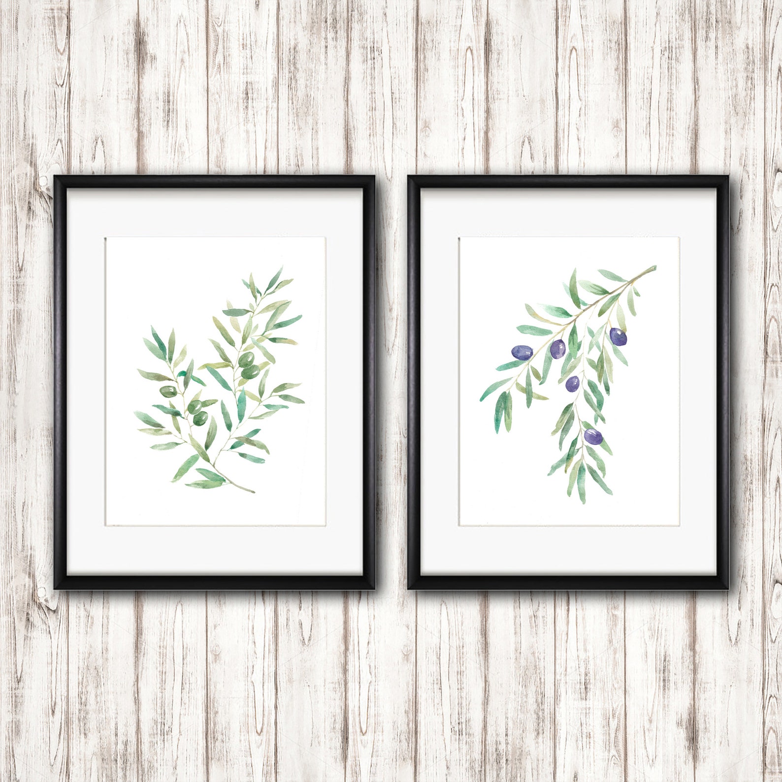 Olive Branch Watercolor Botanical Illustration Set of 2 - Etsy