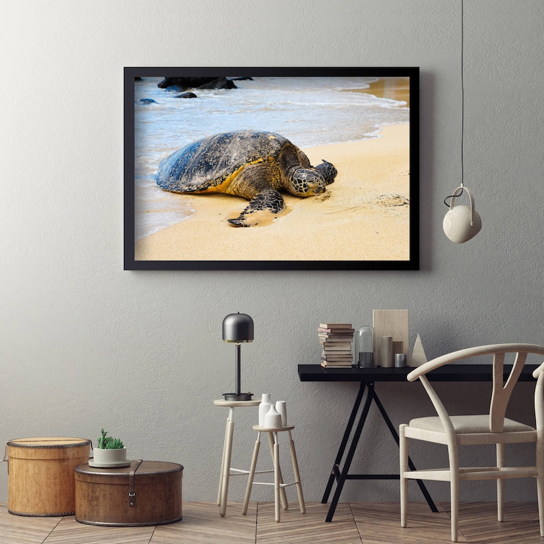 Sea Turtle Poster Tropical Print Sea Turtle Wallpaper Animal | Etsy