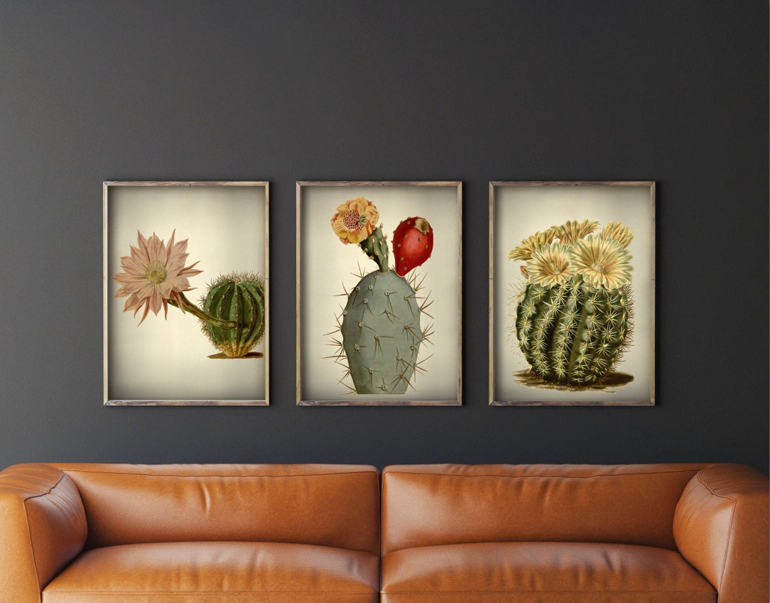 Botanical Set of 3 Vintage Cacti Posters, Cactus Wall Decor, Vintage ...