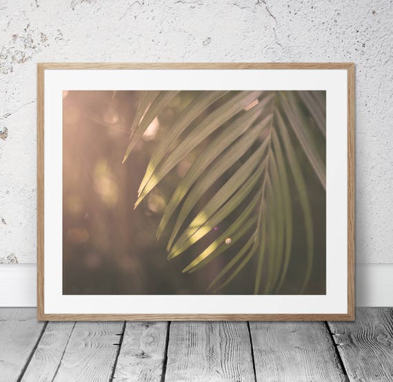 Palm Leaf Tropical Poster Tropical Pint Palm Leaf Decor | Etsy