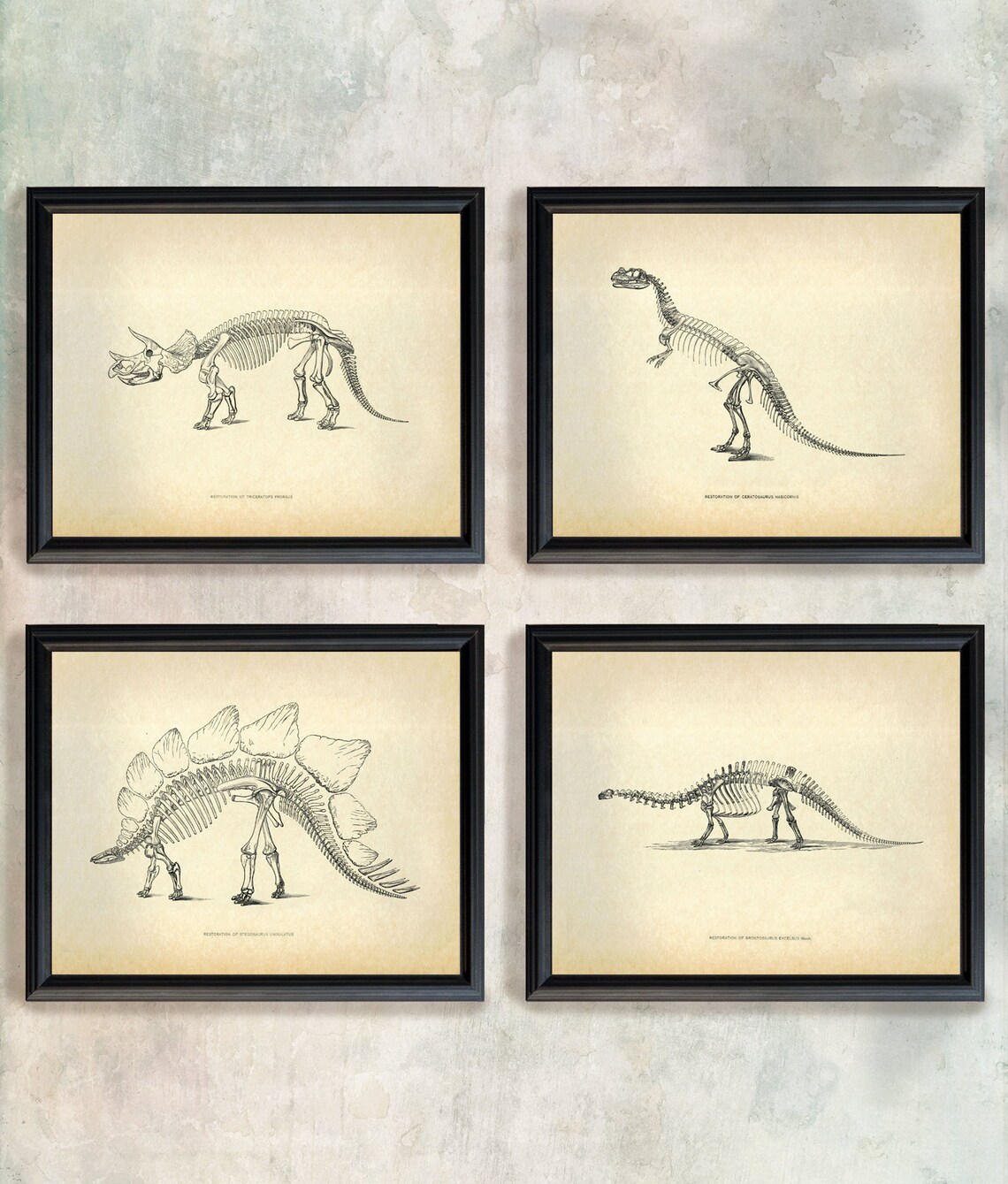 Dinosaur Print Set of 4 Paleontology Poster Extinct Animal | Etsy