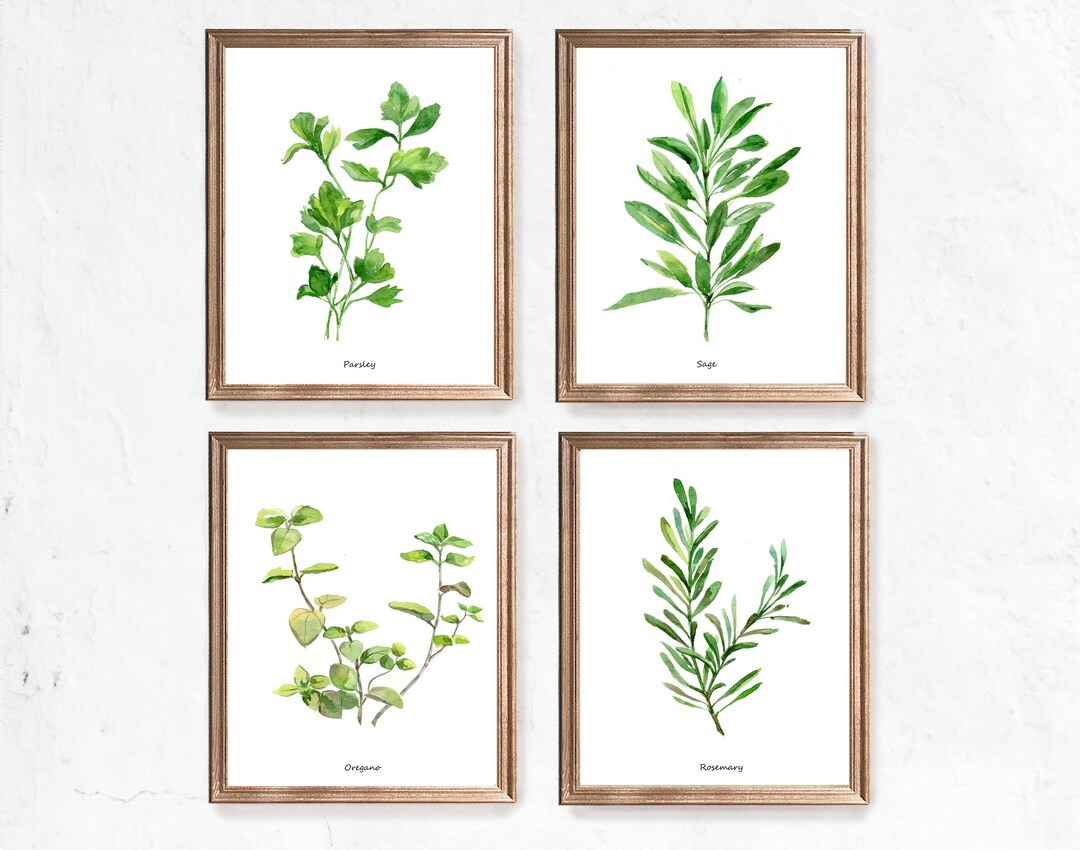 Herb Watercolor Posters - Set of 4 Botanical Illustrations, Kitchen ...