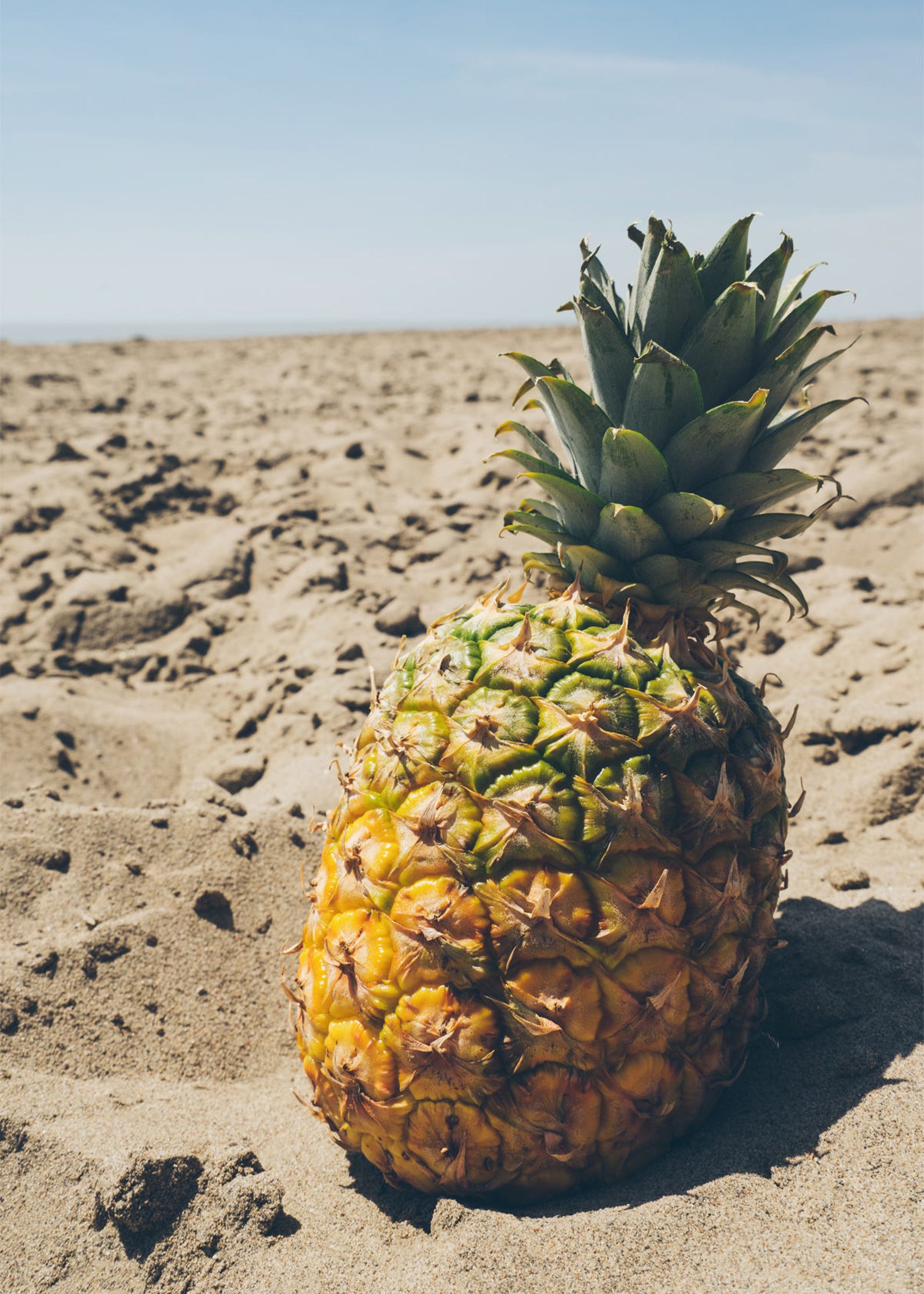 Pineapple Prints Pineapple Wallpaper Pineapple Decor - Etsy