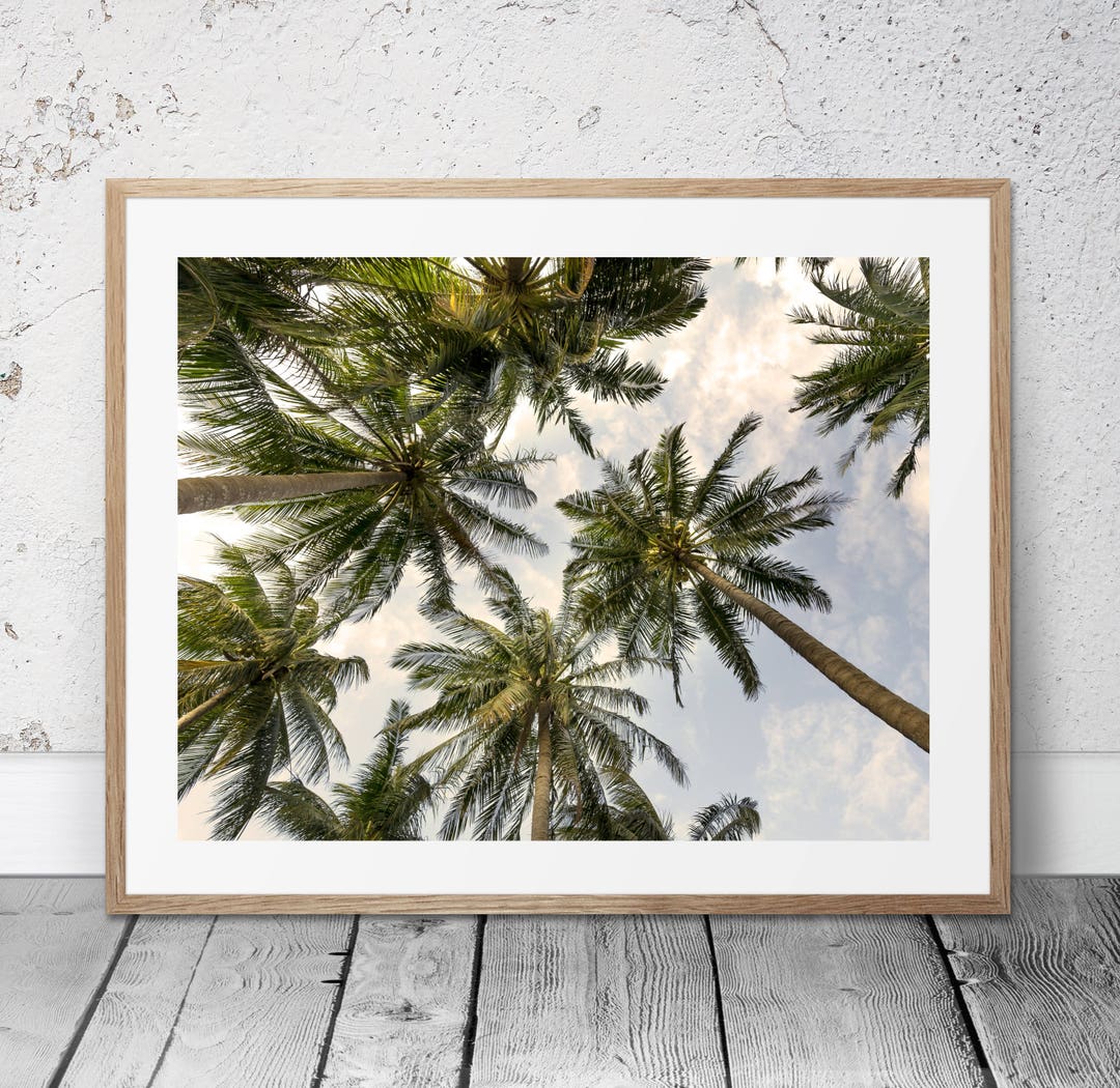 Palms Tropical Poster Tropical Art Print Palm Trees in the Sky Wall Art ...